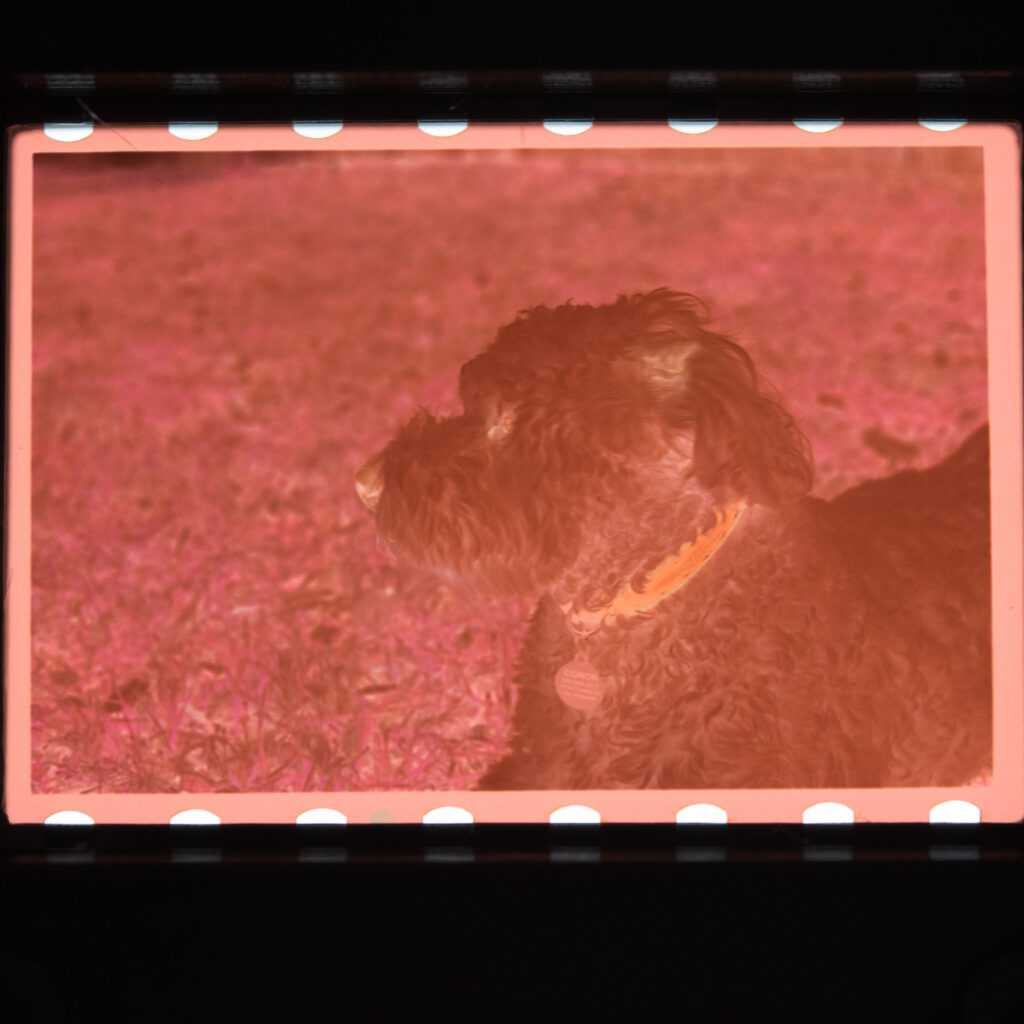 DSLR Scanning Table for 35mm Film – BitByBit Photo Store